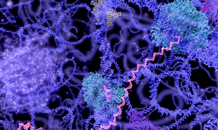 Use of enzymes in animal feeds and market dynamics - Feed & Additive ...