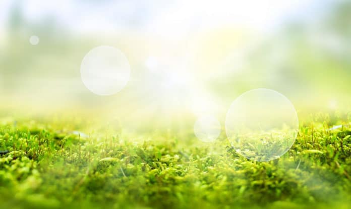 ADM’s global Wisium business launches antibiotic reduction program ...