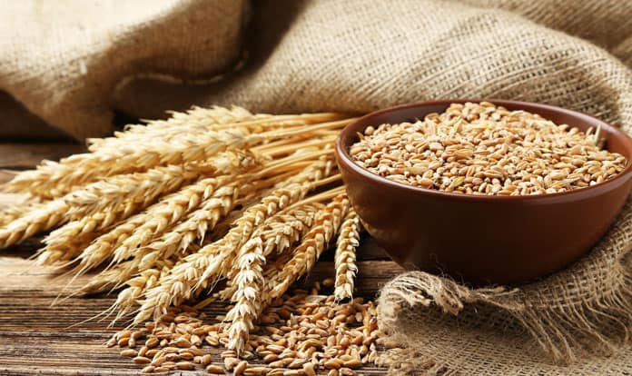 Feed Raw Materials: WHEAT & 2021 EXPECTATIONS - Feed & Additive Magazine