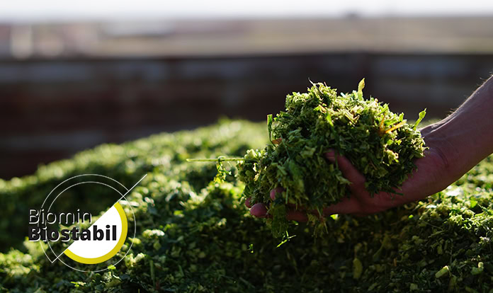 EW Nutrition, dsm-firmenich'ten silaj aşılayıcı ürün grubunu satın aldı ...