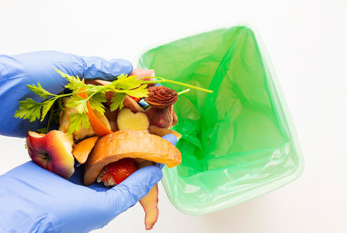 Alternative source of proteins for animal feed: A byproducts ...