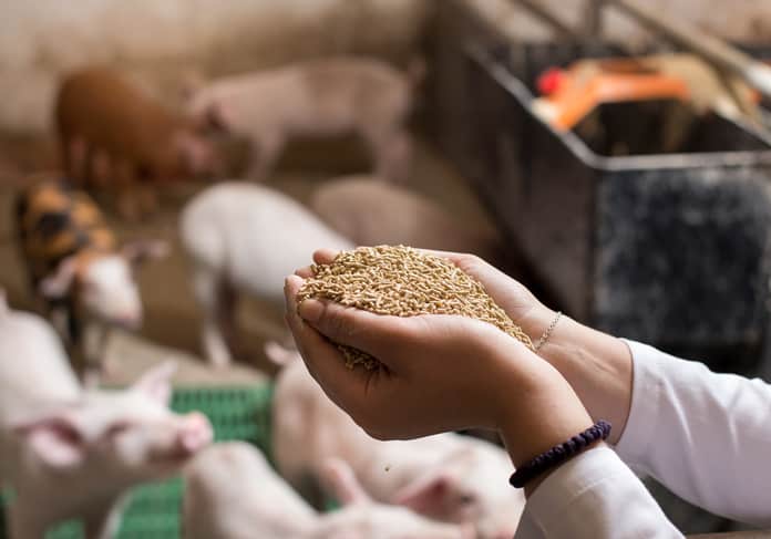 American Feed Industry and Trends - Feed & Additive Magazine