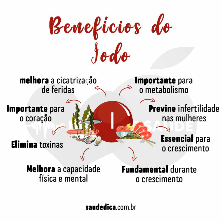 5 principais alimentos ricos em iodo (o que é, benefícios e dicas ...