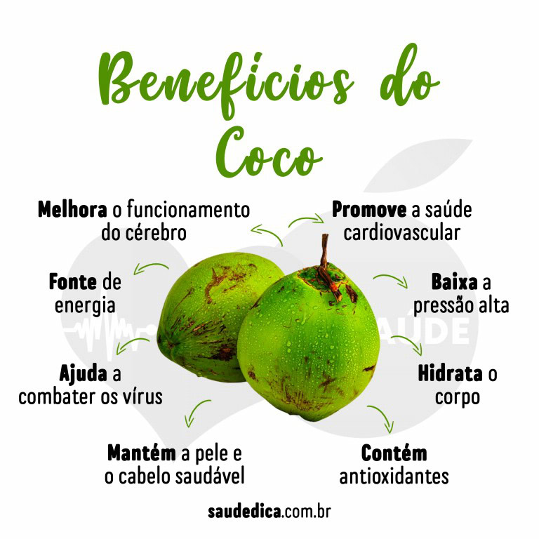Coco: Para que serve, como usar, valor nutricional, benefícios ...
