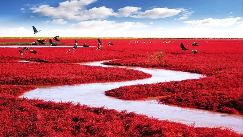 20 seriously weird places around the world