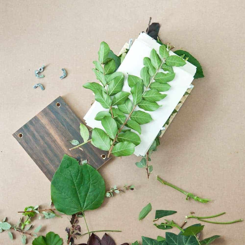 How To Create Beautiful Eco-Prints on Paper • Maria Louise Design