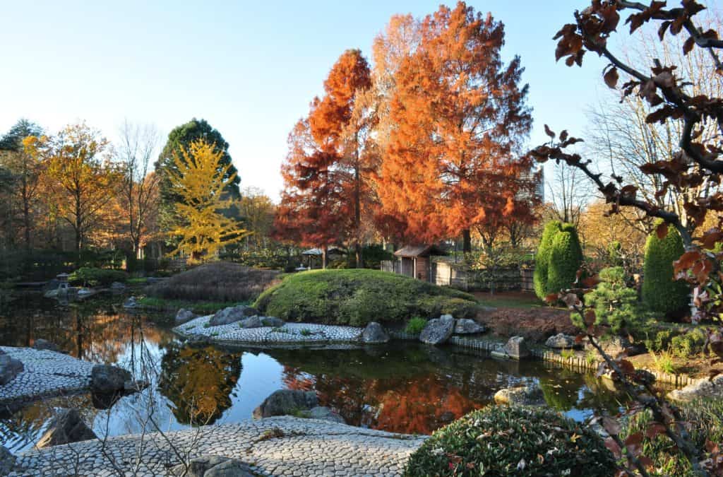 Erleben Sie die Rheinaue in Bonn | Das Hotel Kluth heißt Sie willkommen