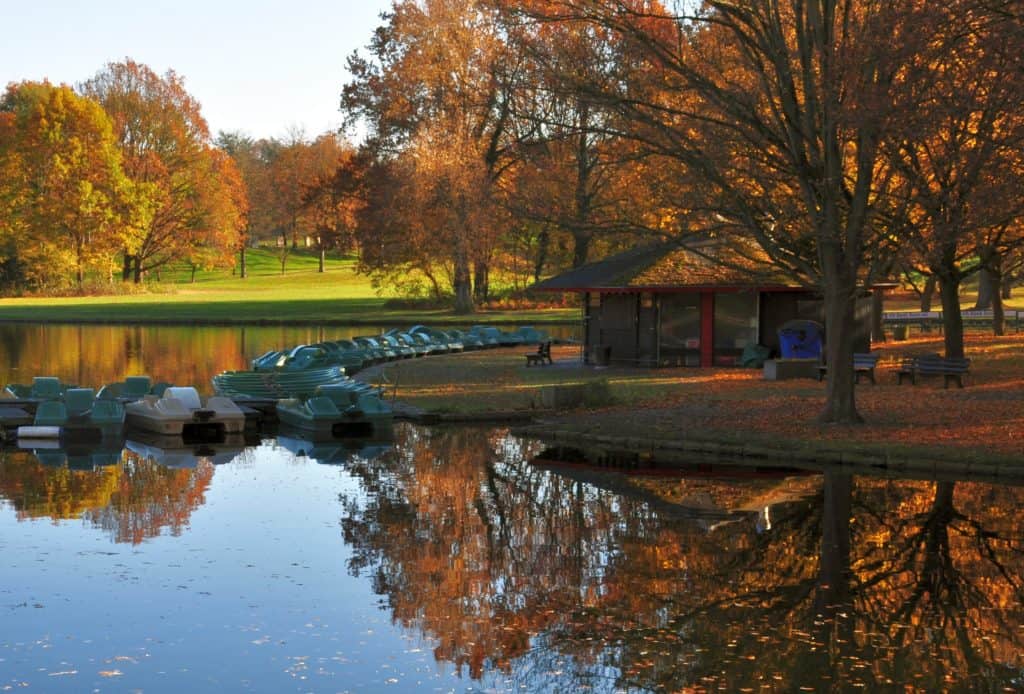 Erleben Sie die Rheinaue in Bonn | Das Hotel Kluth heißt Sie willkommen