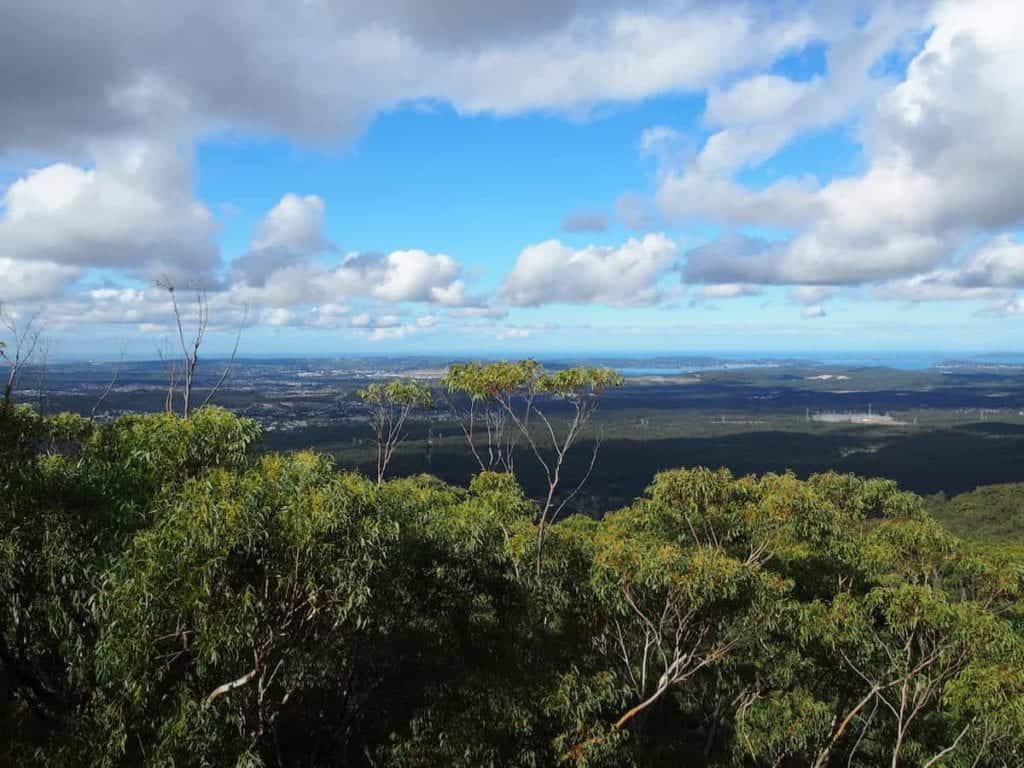 A Drive Up to Mount Sugarloaf - Newy with Kids
