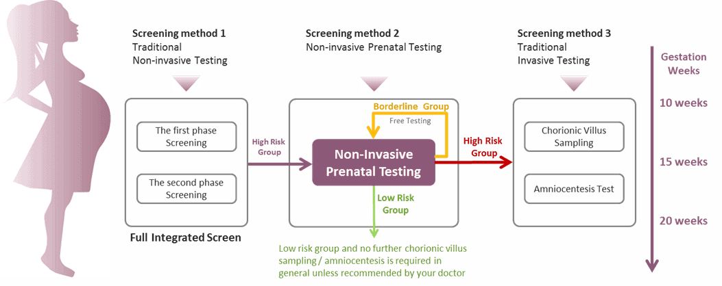 Top Noninvasive Prenatal Testing (NIPT) in Jamshedpur