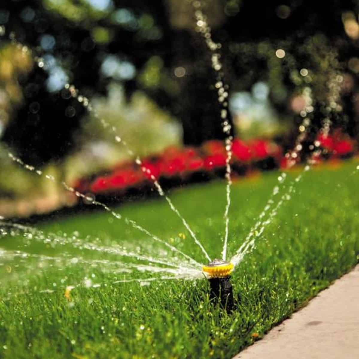 Gallery - Midwest Lawn Sprinklers