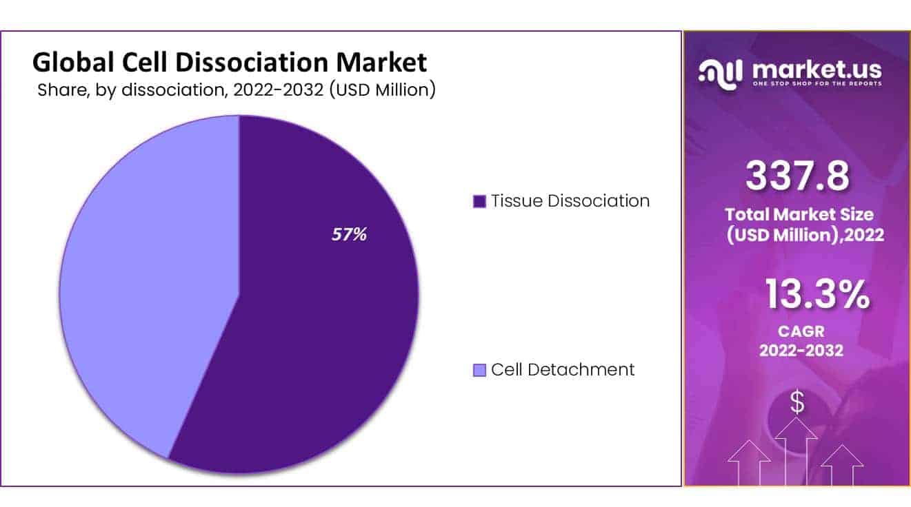 Cell Dissociation Market Size, Share | CAGR of 13.3% Cell Dissociation Market Size, Share | CAGR of 13.3%