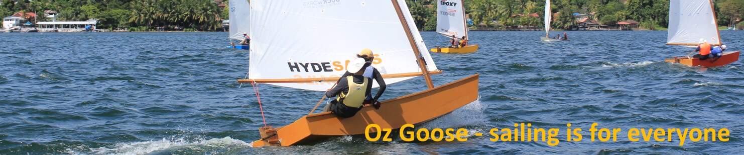 Oz Goose Sailboat, easy to Build. Excellent Family or Club Sailing Fun ...