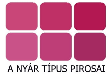 HIDEG SZÍNEK - A NYÁR ÉS TÉL TÍPUS SZÍNEI