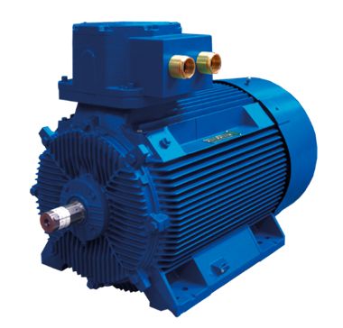 Motoare – Marelli Motori Romania - Tcommerce Romania