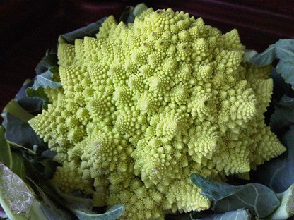Semillas de Coliflor Romanesco - Semillas de coliflor romanesco