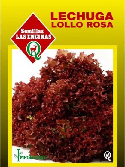 Semillas de Lechuga lollo rosa - Las Encinas - semillas de lechuga lollo