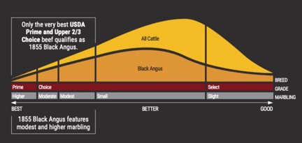 1855 Explains: Black Angus Beef vs. Regular Beef | 1855 Beef