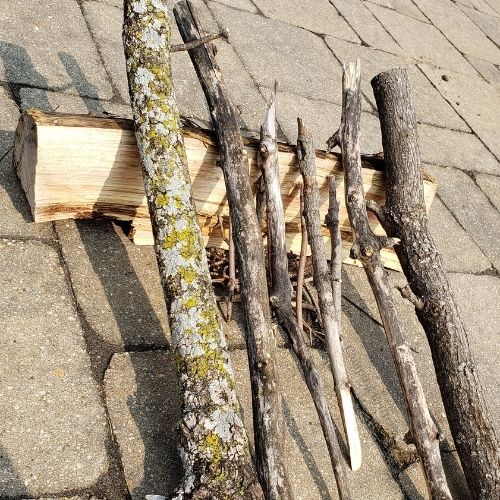 How to Start an Amazing Campfire - Camping Critterz