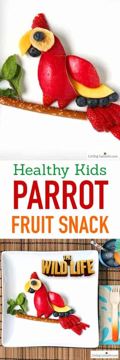 Parrot Fruit Snack | Healthy Kids Fun Food Animal Treat