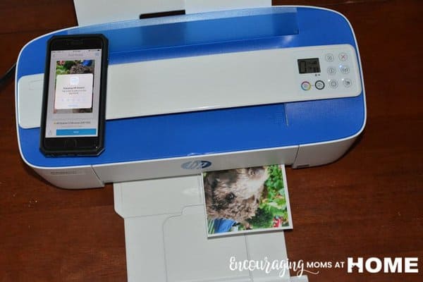 Easy Ways to Organize and Decorate Your Dorm Room with a Printer