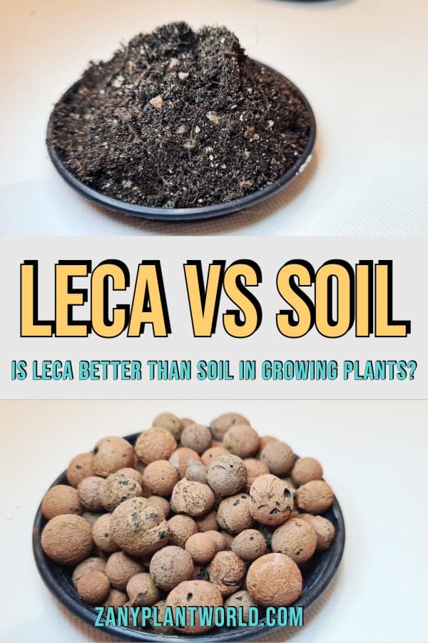 LECA Vs Soil: Is LECA Better Than Soil In Growing Plants?
