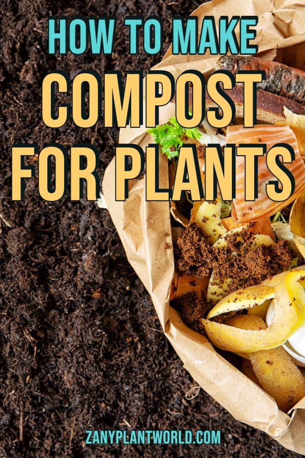How To Make Compost For Plants (Detailed Guide)