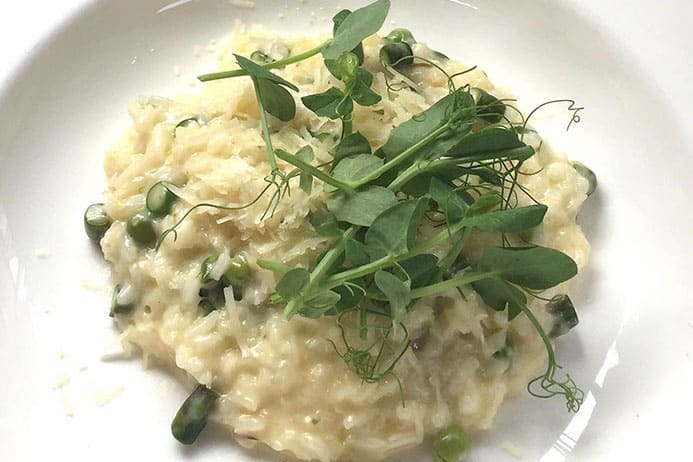 Bad Vegetarian Food in Good Restaurants - No More Risotto