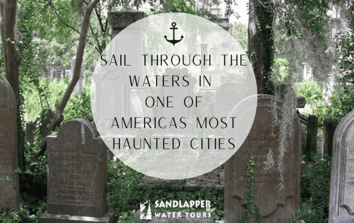 Sandlapper Water Tours Sandlapper Water Tours | Harbor Boat Tours, Eco ...