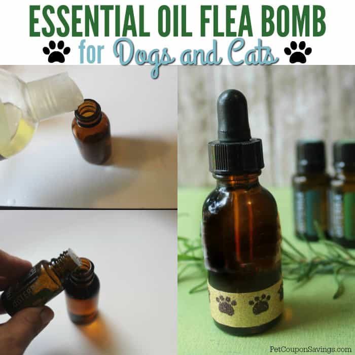 Essential Oil Flea Bomb for Dogs and Cats - Pet Coupon Savings