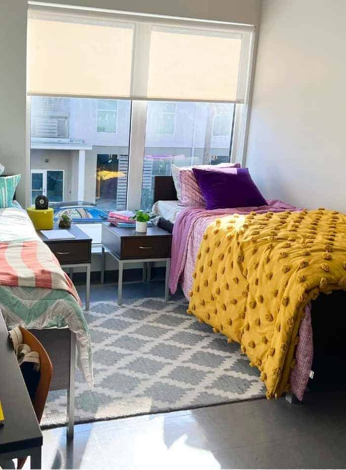 SCAD Hive Dimensions & College Packing List - Living Locurto