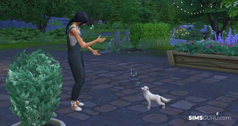 Vida en el pueblo (Guía III): ¡Contacto natural! Los Animales - Simsguru