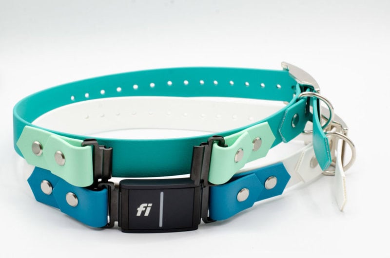Fi Compatible Biothane Dog Collar | On the Collar Attachment