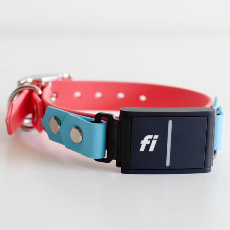 Fi Series 2 and Fi Series 3 Compatible Collars - Fi Maker