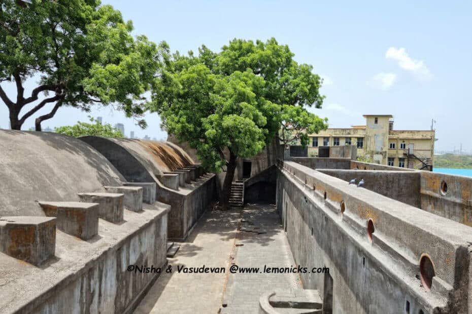 The Forgotten Sewri Fort, Mumbai