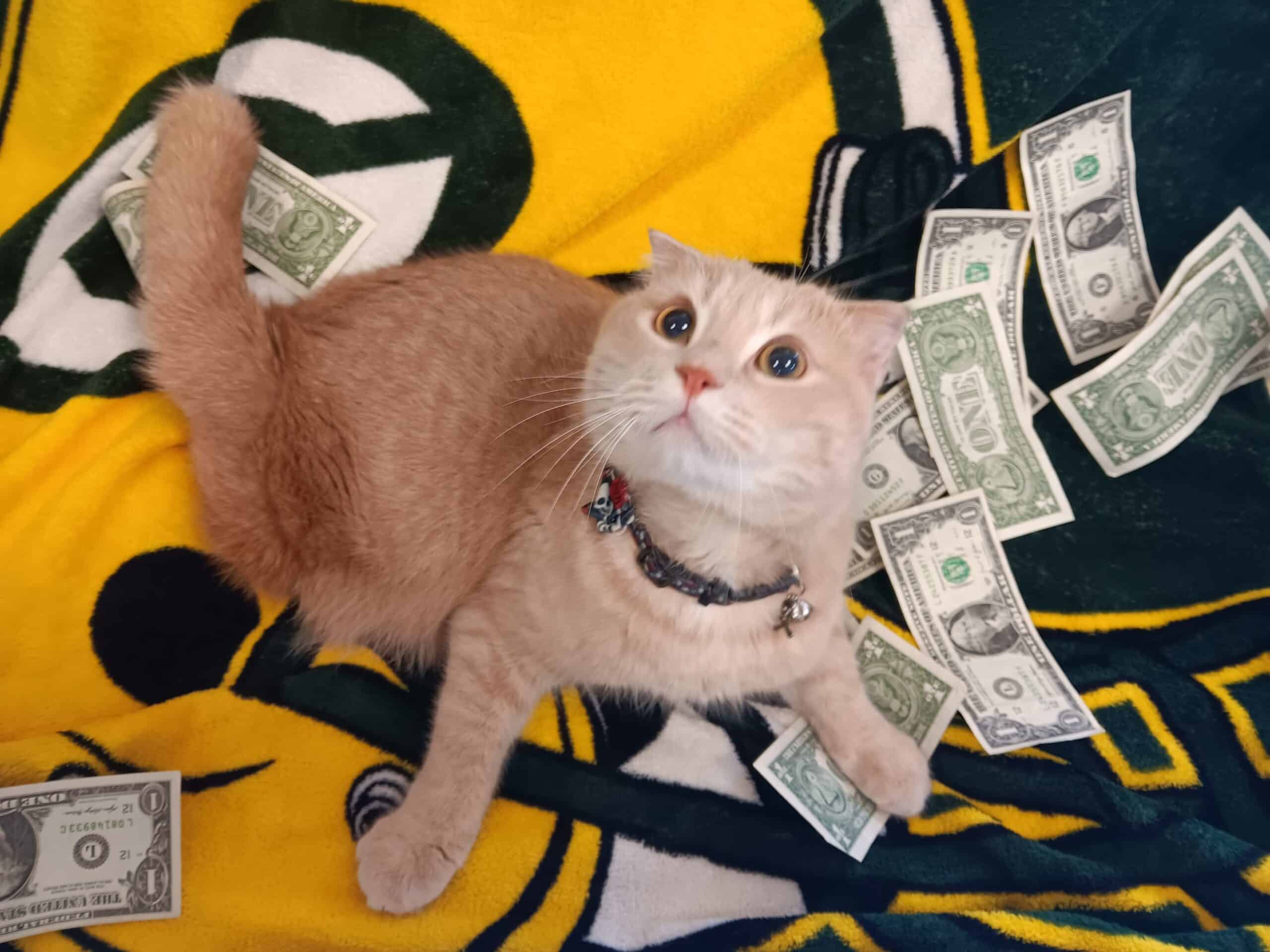 Price Increase – 2025 Edition! – Precision Veterinary