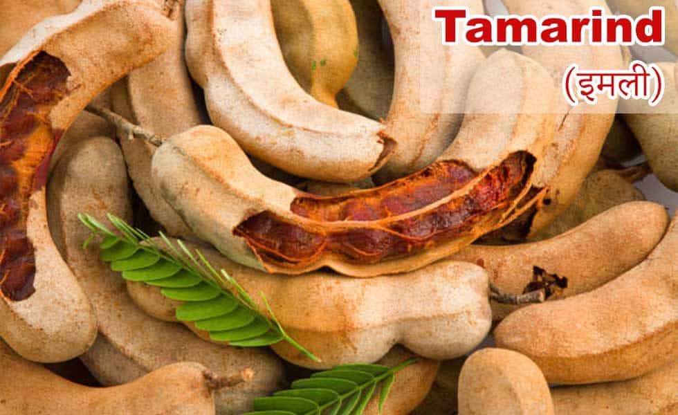 Tamarind-imli-इमली-Usage-Sources-Health-Benefits-Side Effects