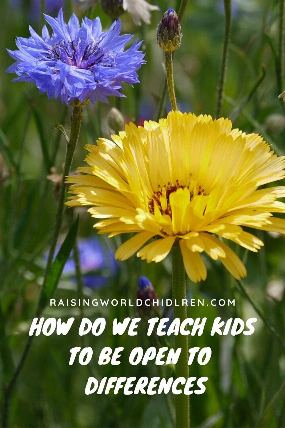 How Do We Teach Kids to Accept Differences - Raising World Children