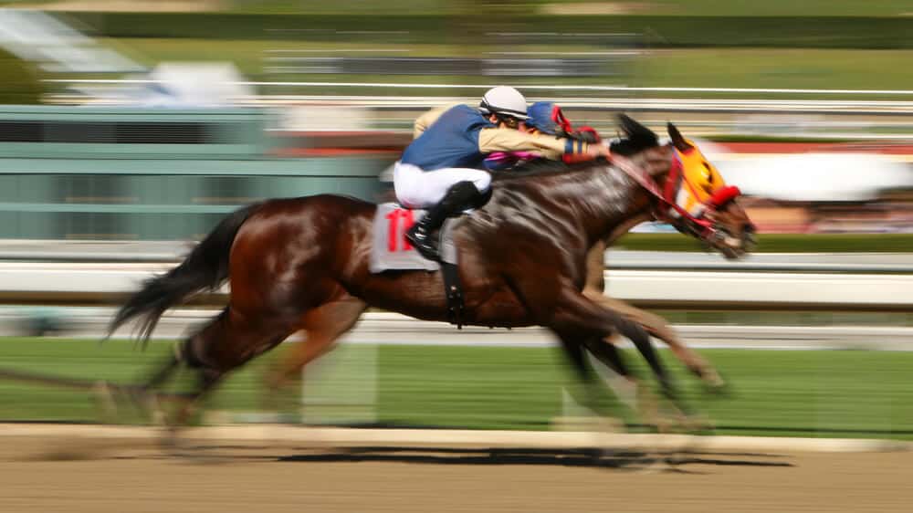 Top 100 Racehorse Names: From Legends to Modern Stars - Home In The ...