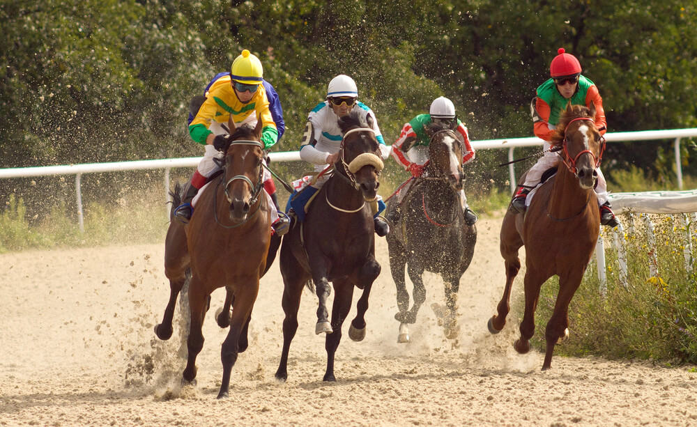 100+ Funny Horse Racing Names