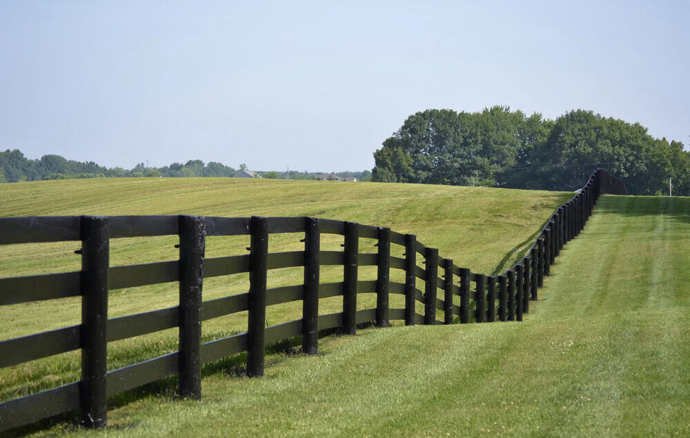 Protecting Your Pasture Fencing: Tips and Tricks