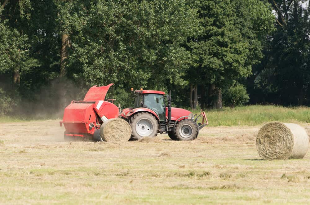 When Is The Best Time To Make Hay? - Cutting and Baling Guide