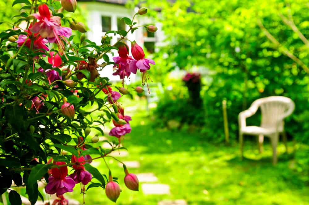 4 Useful Tips For Creating A Truly Lush Garden - Home In The Pastures