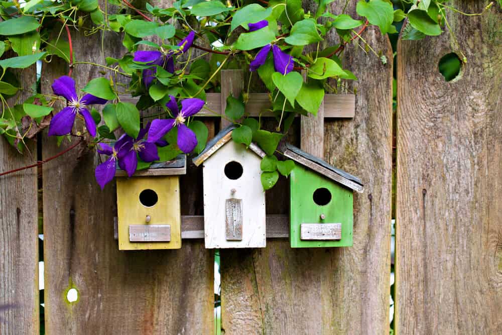 How To Create a Wildlife-Friendly Garden In 7 Ways