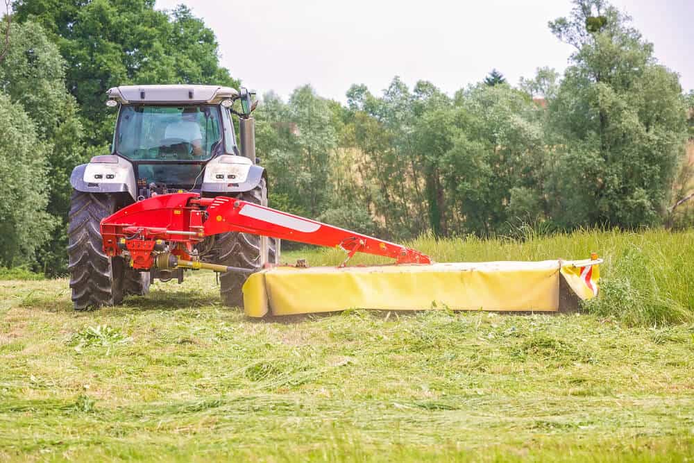When Is The Best Time To Make Hay? - Cutting and Baling Guide