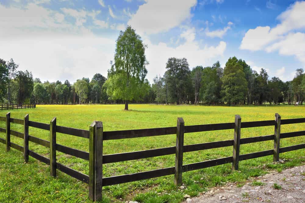 Protecting Your Pasture Fencing: Tips and Tricks