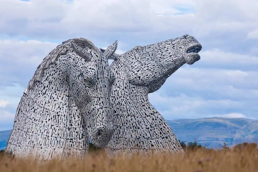 Echoes of the Highlands: Inspiring Scottish Horse Names With Meanings ...