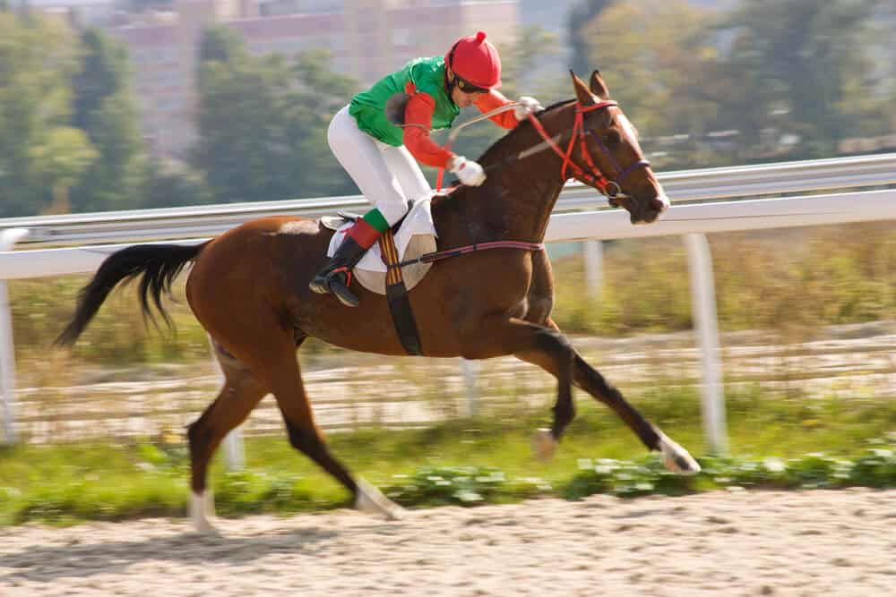 Top 100 Racehorse Names: From Legends to Modern Stars - Home In The ...