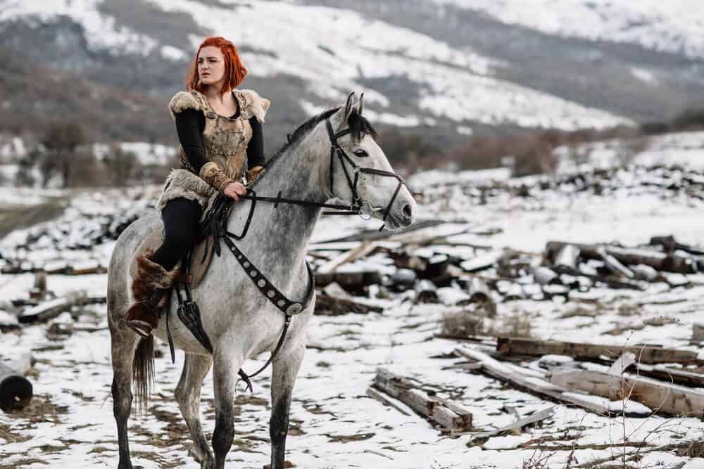 The Best Viking Horse Names from Norse Mythology - Home In The Pastures