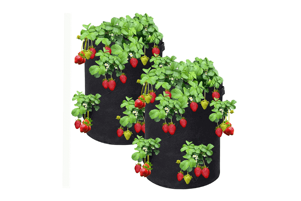 The Best Strawberry Planters, Pots, And Towers - Properly Rooted